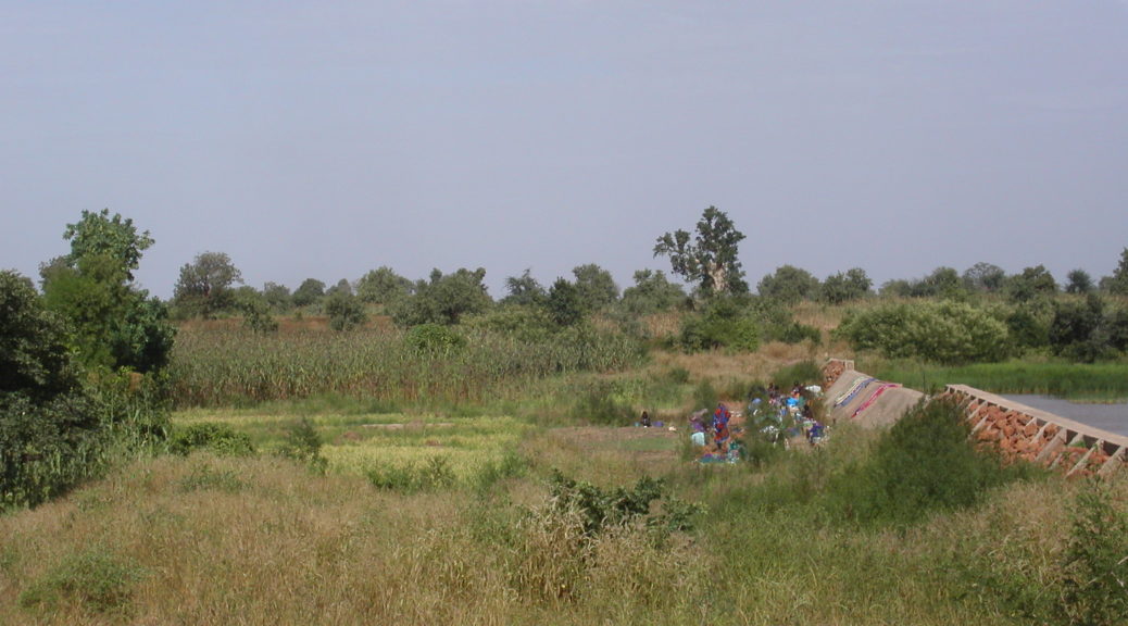 Aménagement des bas-fonds | Site Essonne-Sahel