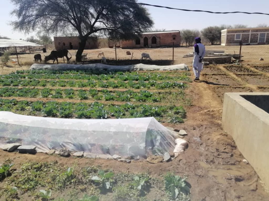 Aménager un périmètre maraicher | Site Essonne-Sahel