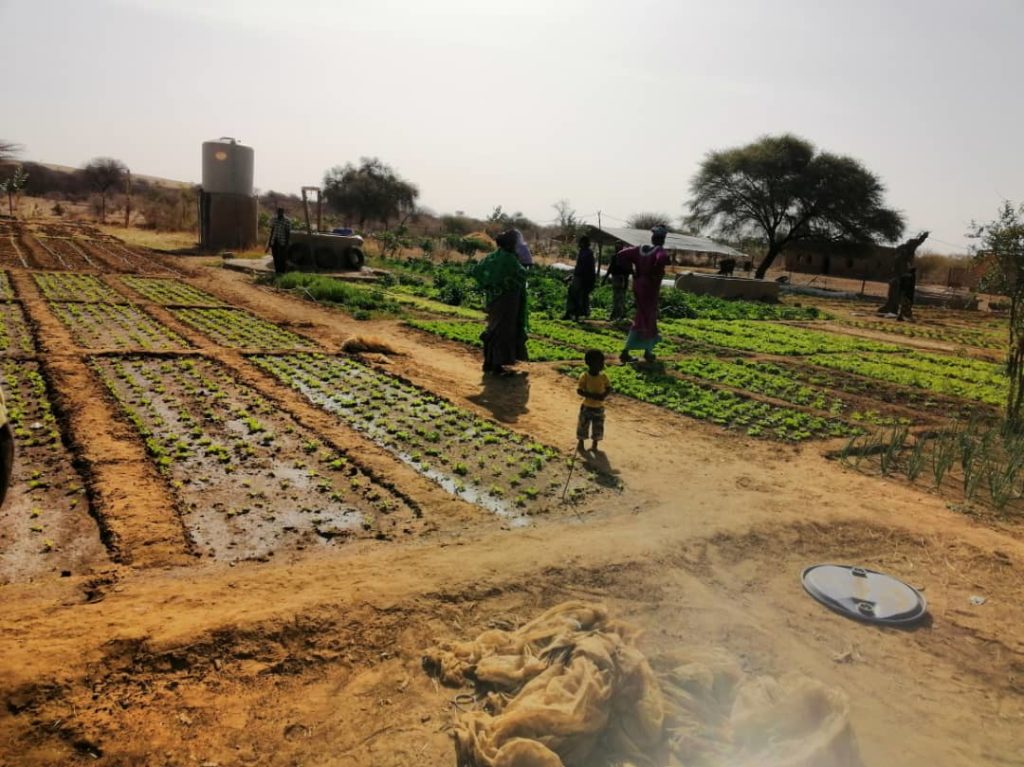 Programme 2019-2021 : création d’un périmètre maraîcher de 4 hectares à ...
